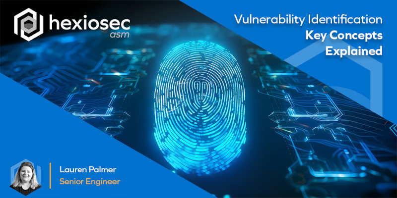 Vulnerability Identification: Key Concepts And Terms Explained ...